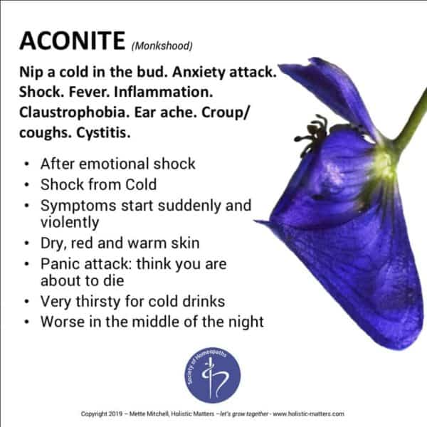 Aconite: a post-lockdown calmer - The Natural Health Hub